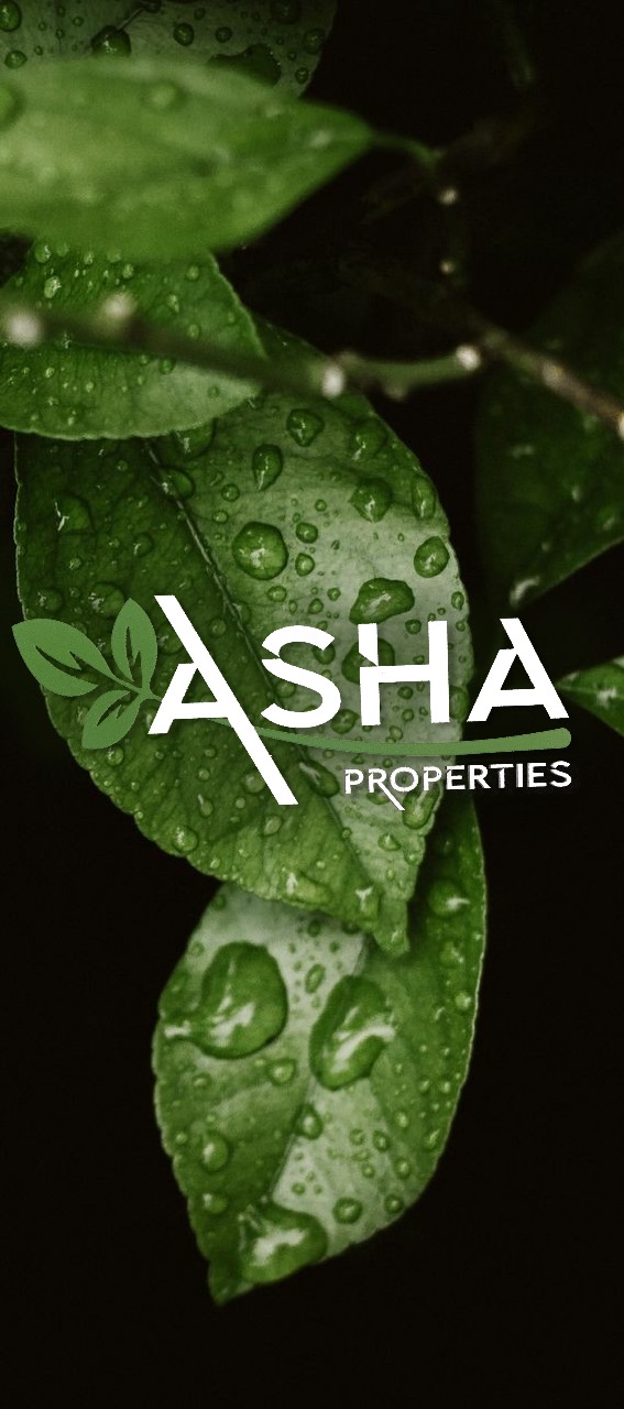 Asha Properties